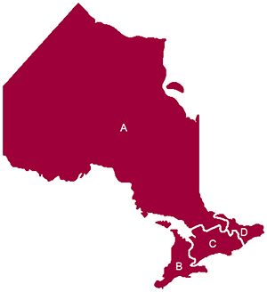 施恩禧销售目录及其他联系信息